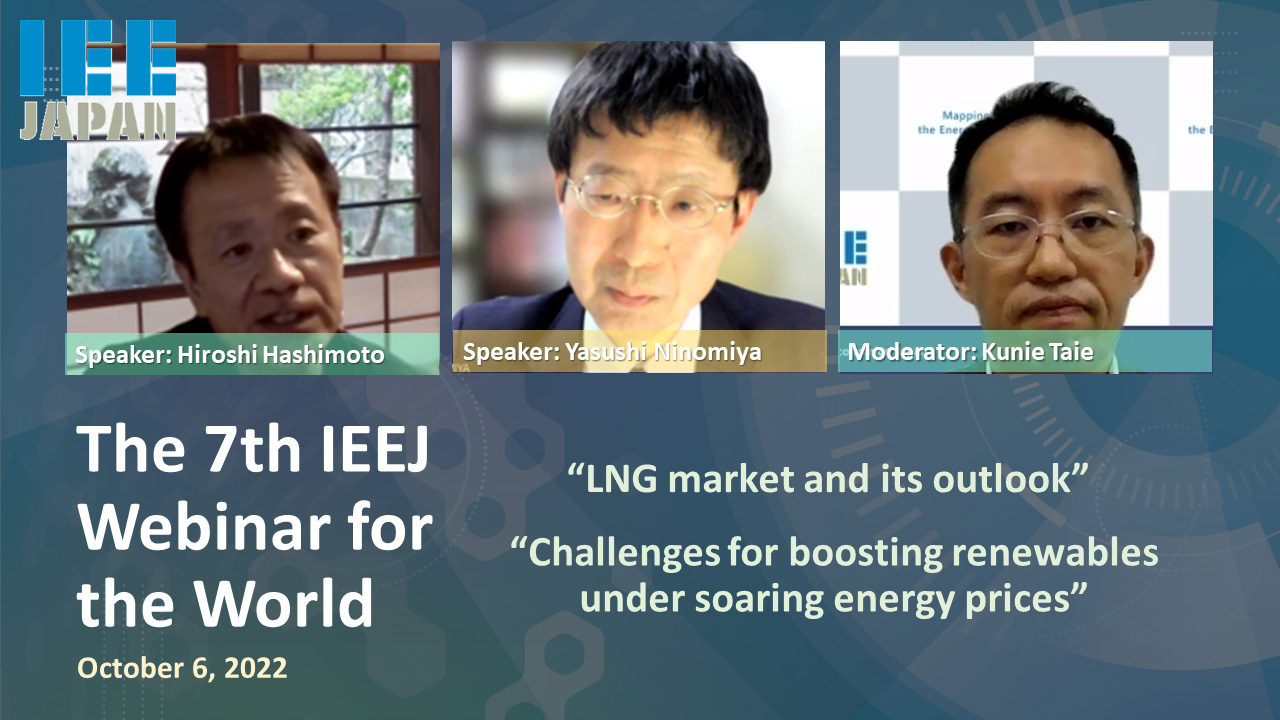 The Institute of Energy Economics, Japan - IEEJ